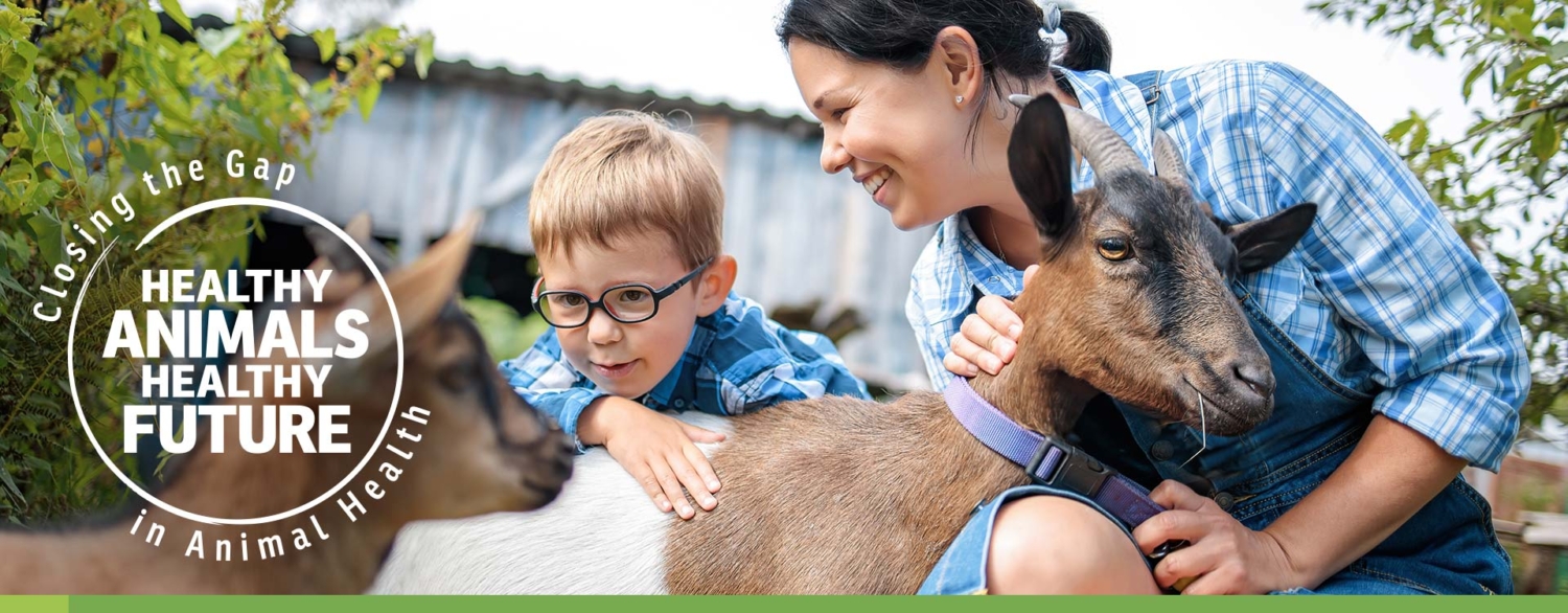 VALUE OF INNOVATION - ANIMAL HEALTH INSTITUTE